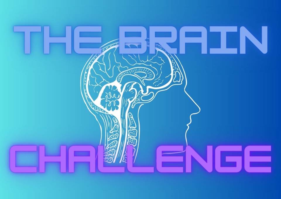 Team-Building > The Brain Challenge • Spotlag